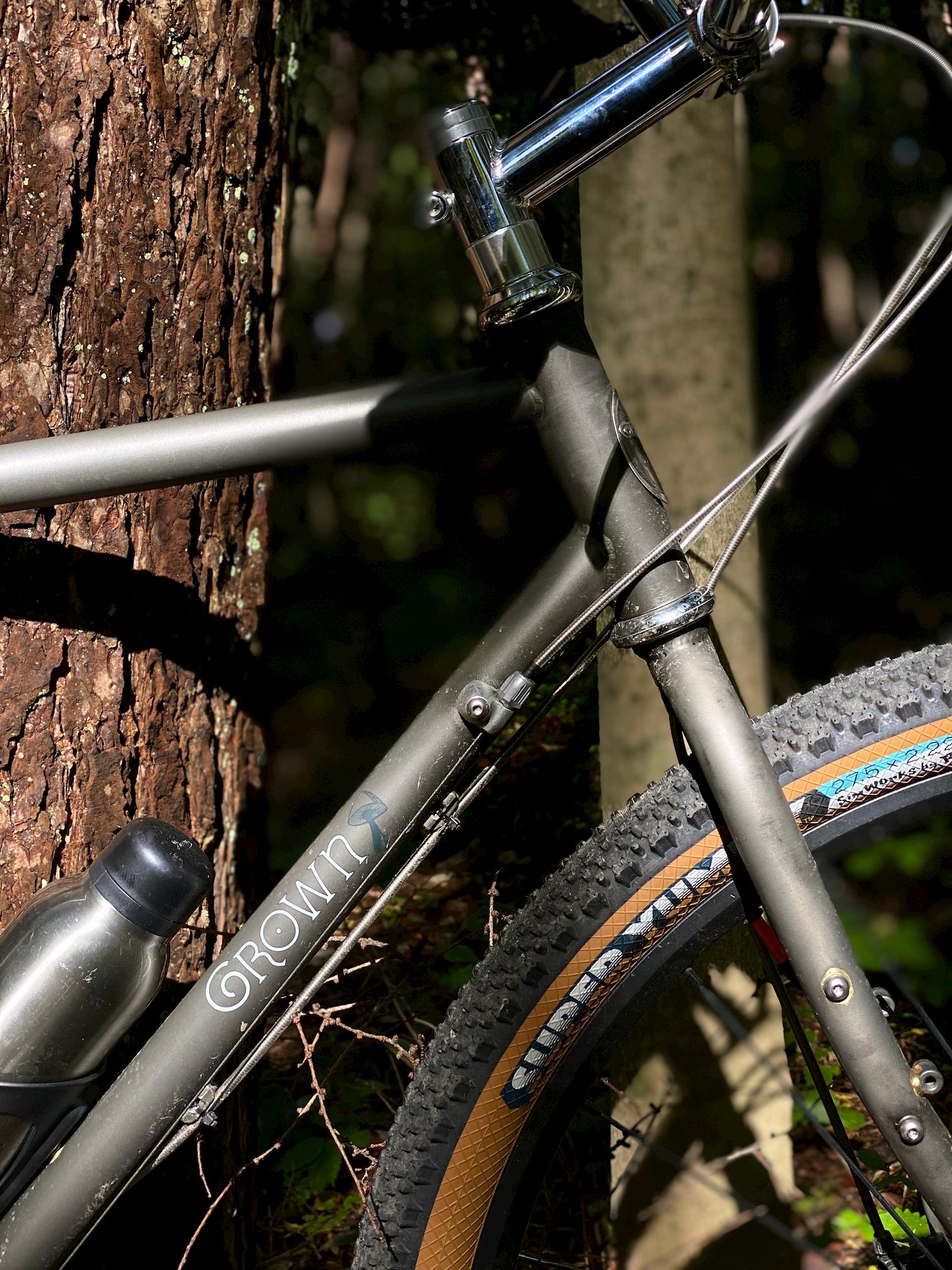 Hey Joe ::: Grown by E.B.S